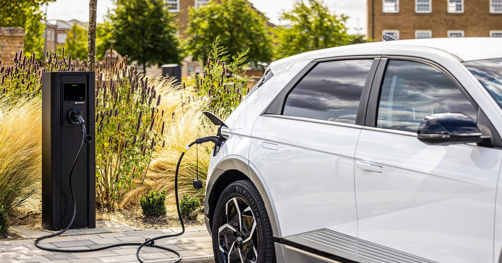 Dynamic Load Balancing Explained - Sevadis